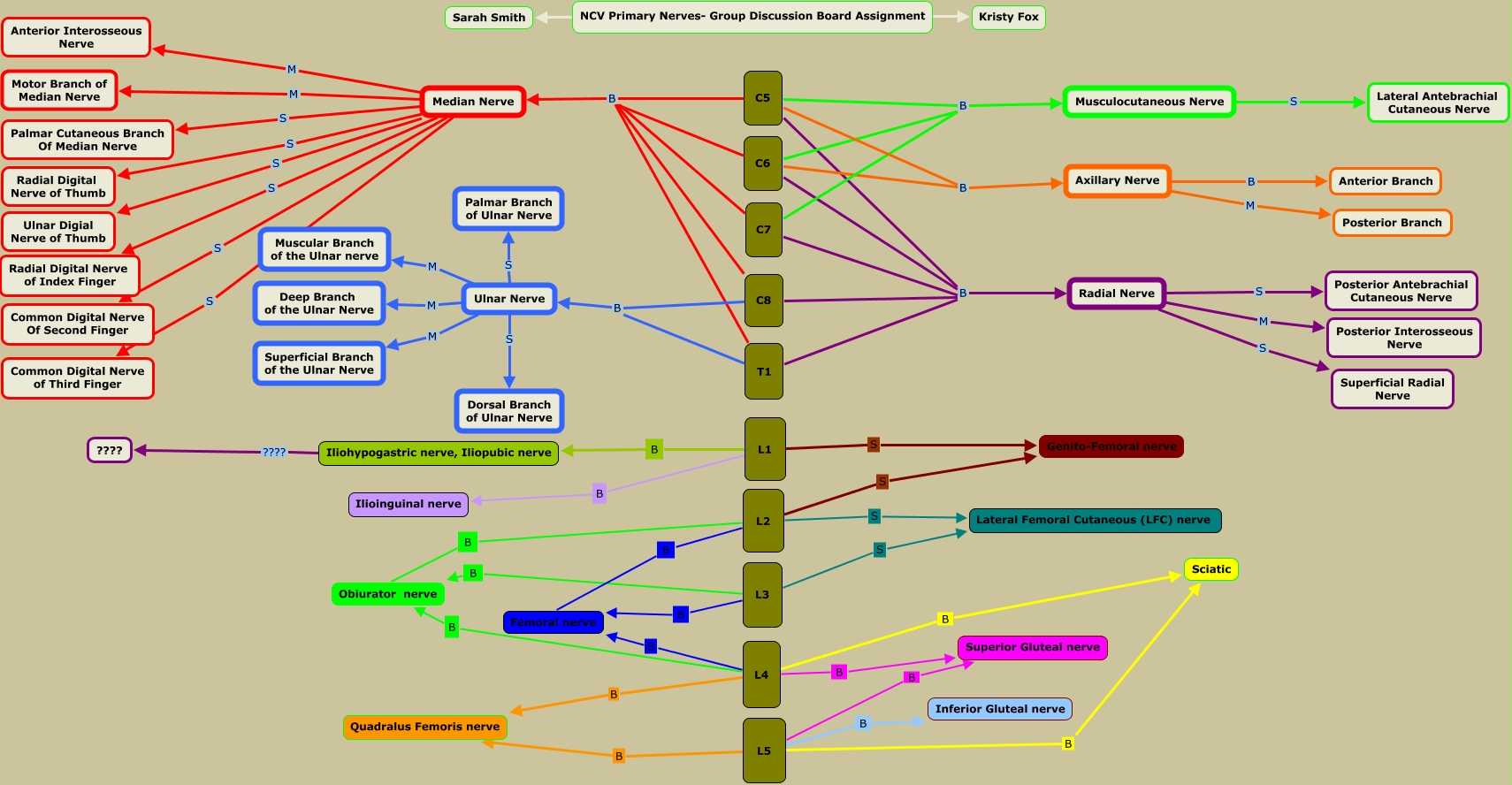 NDSS AHSC 430 Smith Fox Week 7 NCV 2